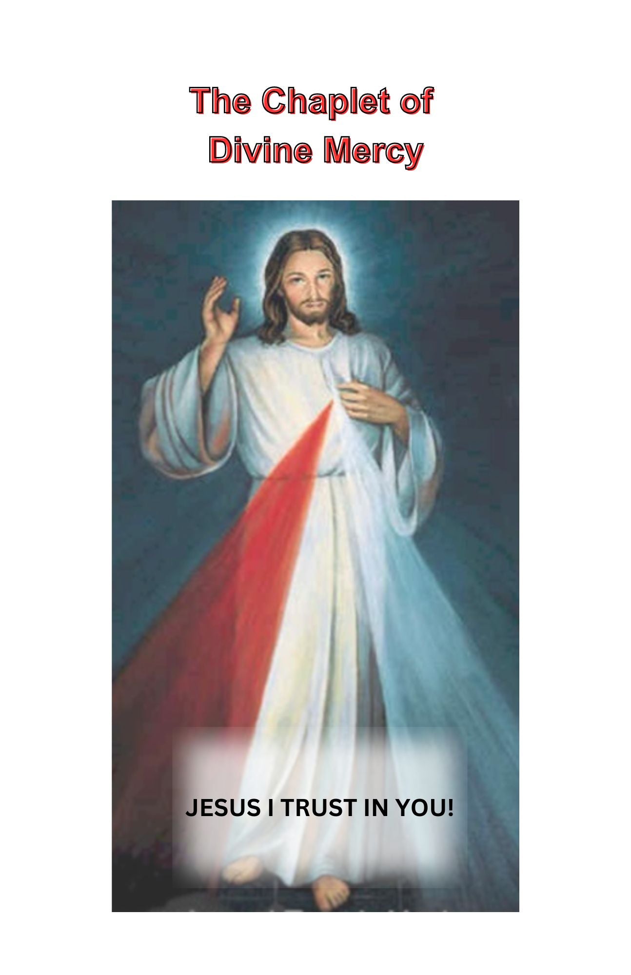 THE DIVINE MERCY CHAPLET/ Printable in PDF Format/Digital Download/5.5 – blessingtobuy